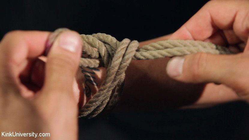 Shibari 101 Basic Column Ties 8967